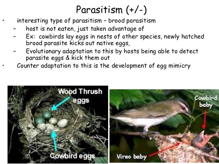 Blog Archives - bestmfil