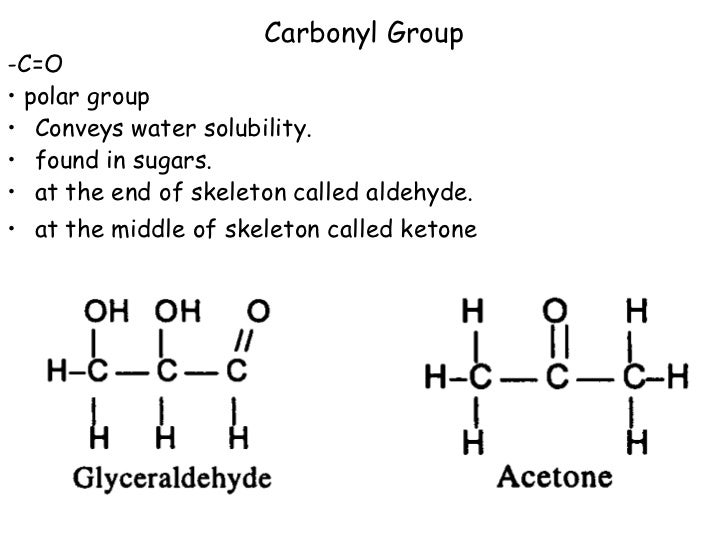 Ap bio ch 3 Functional Groups & Macromolecules
