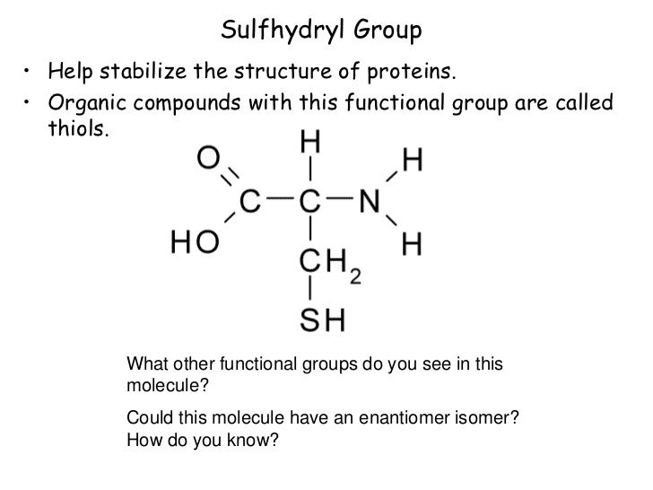 Sulfhydryl Group Properties