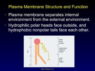 Ap bio ch5membranes | PPT