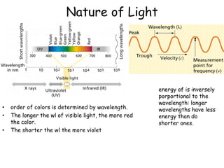 AP Bio Ch 7 Photosynthesis PPT | PPTX