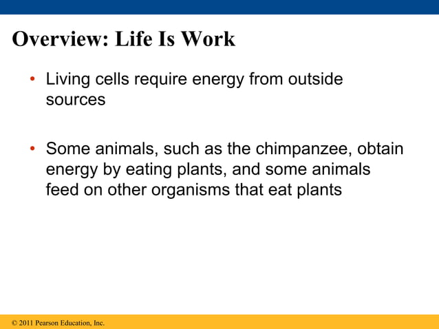 Ap bio chp 9 cellular respiration and fermentation | PPT