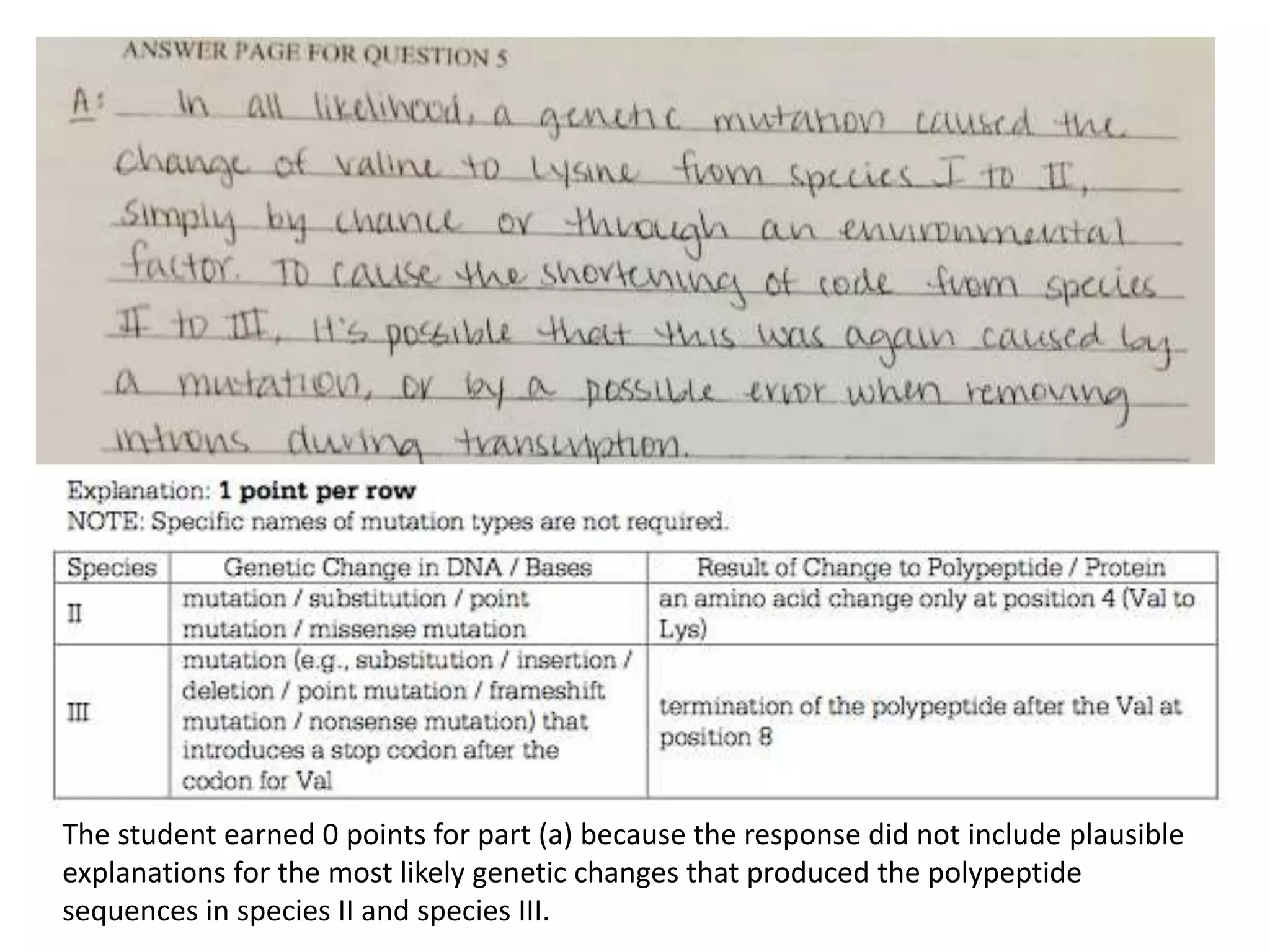 Ap bio free response help | PPTX