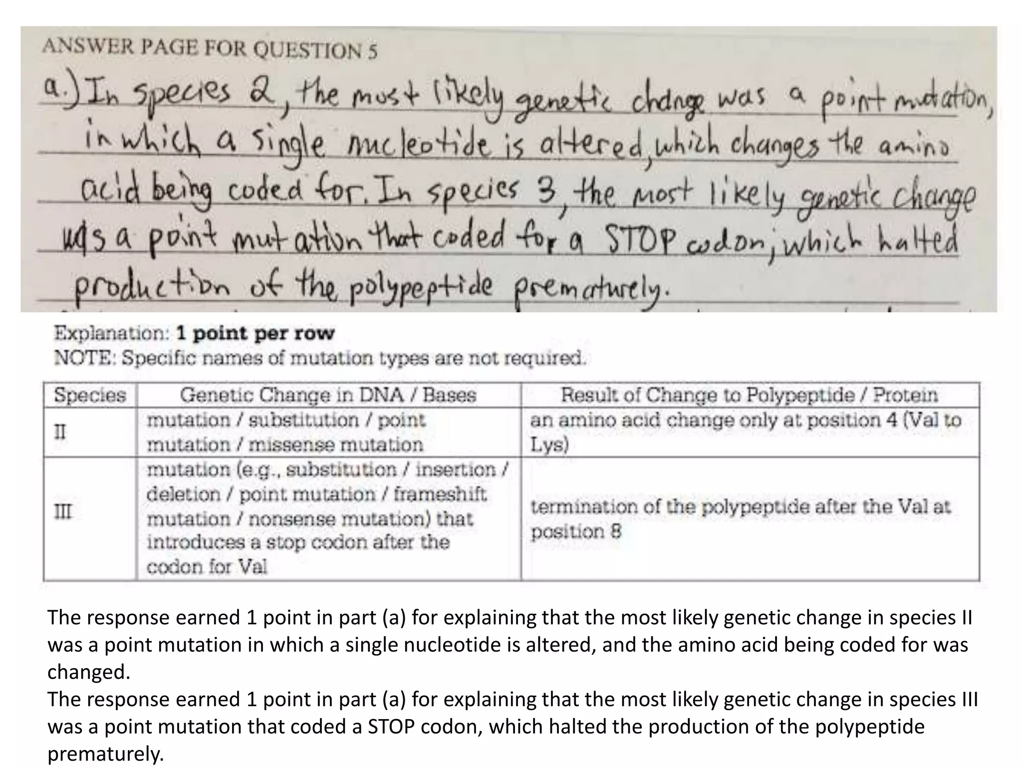 Ap bio free response help | PPTX