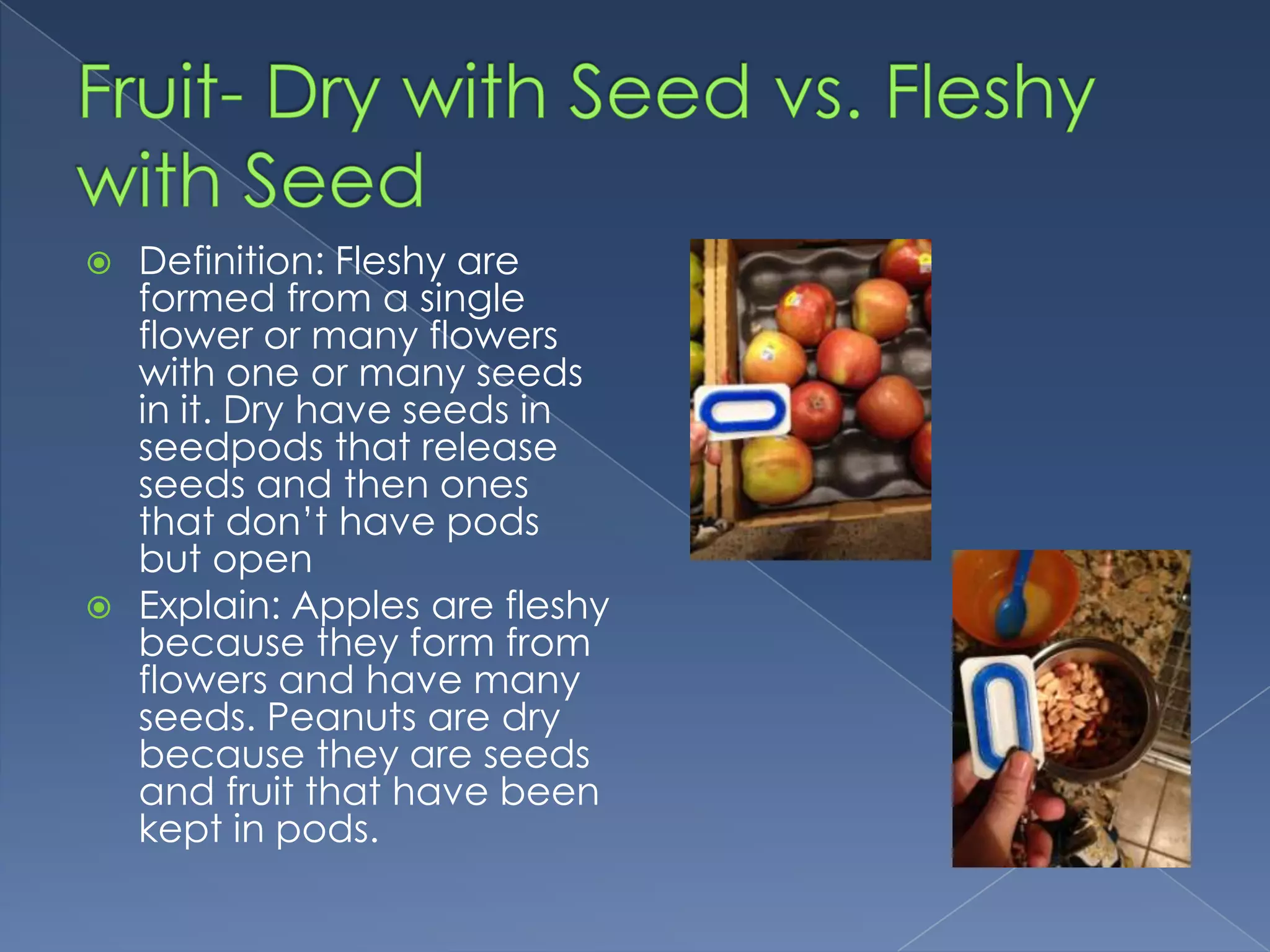 AP Biology- Scavenger Hunt | PPTX