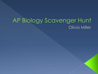 AP Biology- Scavenger Hunt | PPTX