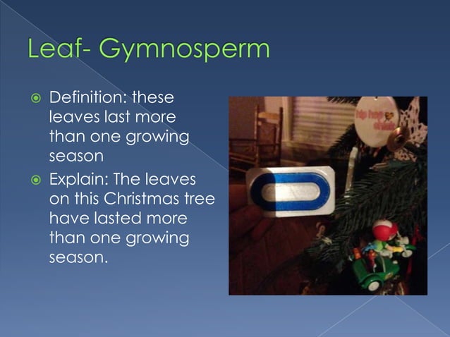 AP Biology- Scavenger Hunt | PPT