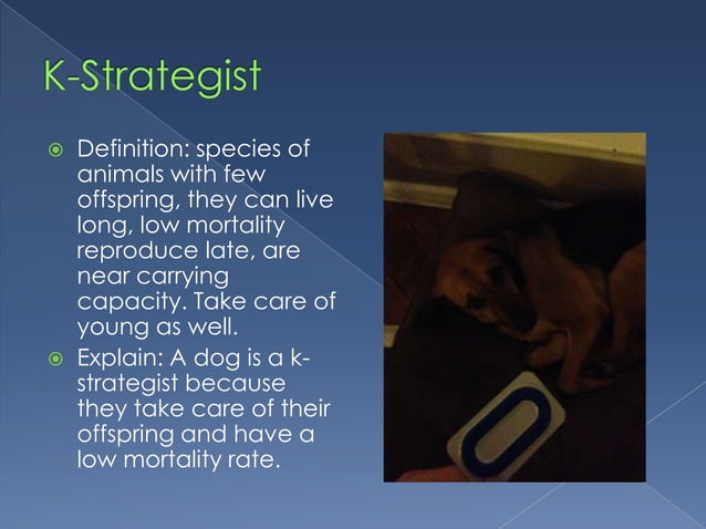 AP Biology- Scavenger Hunt | PPT