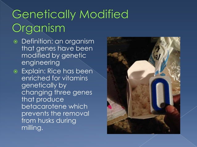 AP Biology- Scavenger Hunt | PPT