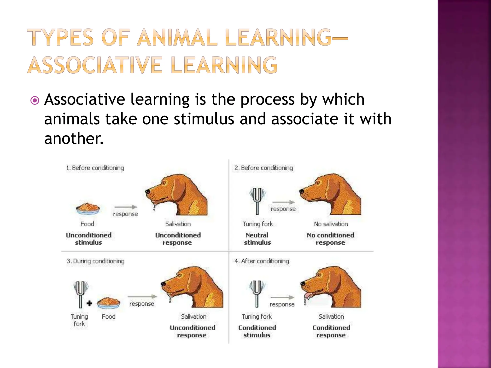 AP Biology Animal Behavior and Ethology.ppt