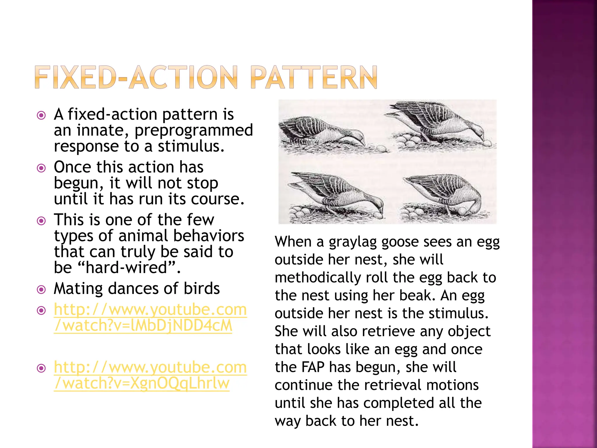 AP Biology Animal Behavior and Ethology.ppt
