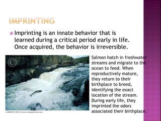 AP Biology Animal Behavior and Ethology.ppt