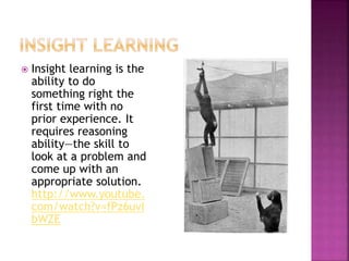 AP Biology Animal Behavior and Ethology.ppt