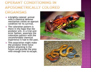 AP Biology Animal Behavior and Ethology.ppt