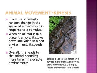 AP Biology Animal Behavior and Ethology.ppt