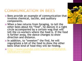 AP Biology Animal Behavior and Ethology.ppt