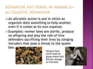 AP Biology Animal Behavior and Ethology.ppt