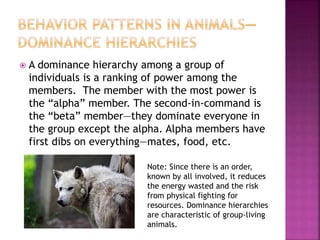AP Biology Animal Behavior and Ethology.ppt