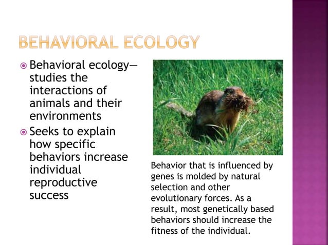 AP Biology Animal Behavior and Ethology.ppt
