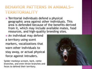 AP Biology Animal Behavior and Ethology.ppt