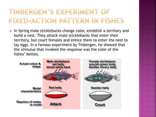 AP Biology Animal Behavior and Ethology.ppt