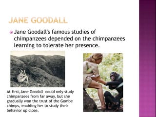 AP Biology Animal Behavior and Ethology.ppt