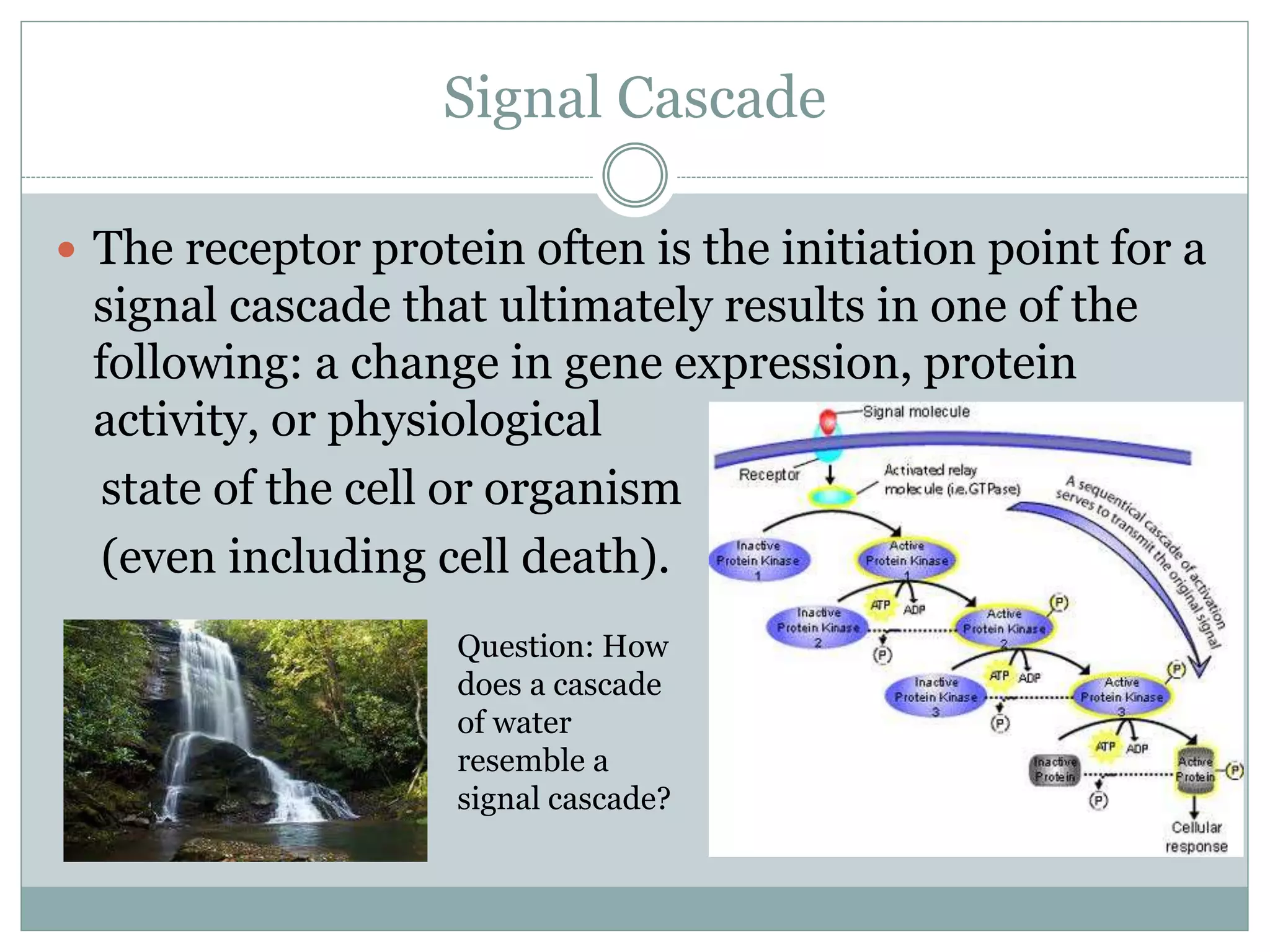 AP Biology Cell Communication.pptx