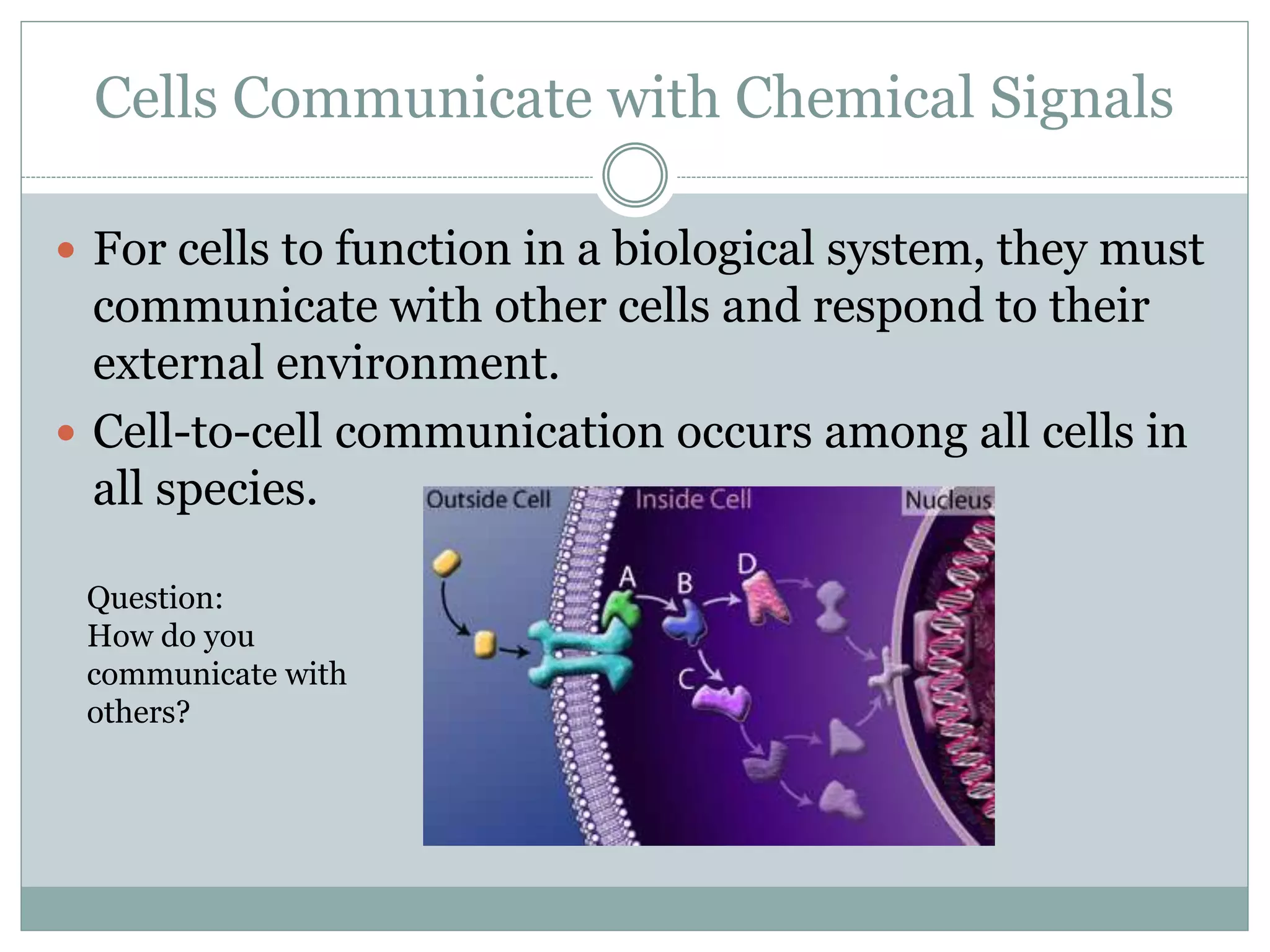 AP Biology Cell Communication.pptx