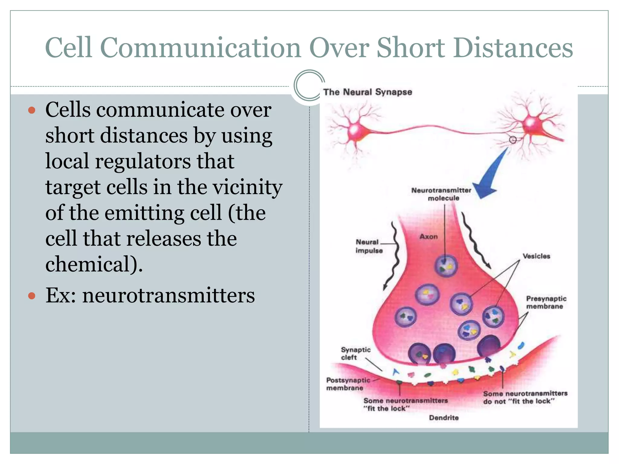 AP Biology Cell Communication.pptx