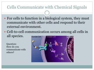 AP Biology Cell Communication.pptx