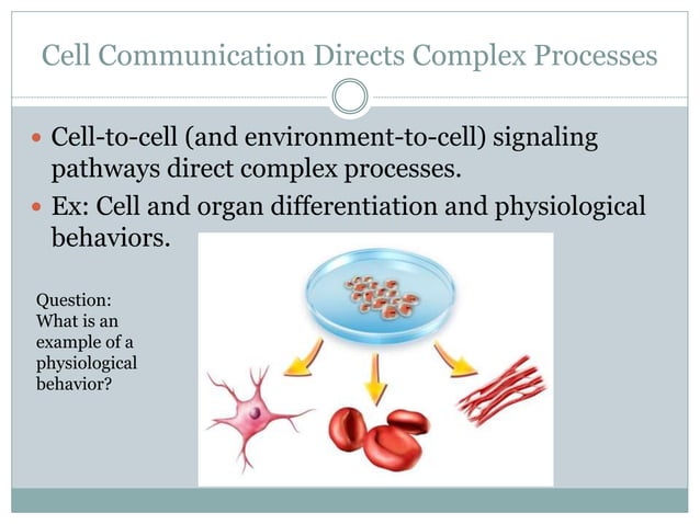 AP Biology Cell Communication.pptx
