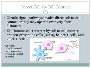 AP Biology Cell Communication.pptx