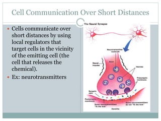 AP Biology Cell Communication.pptx