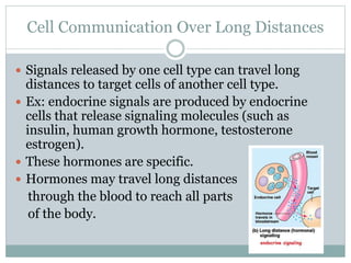 AP Biology Cell Communication.pptx