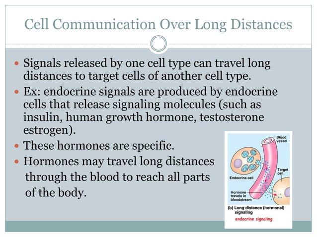 AP Biology Cell Communication.pptx