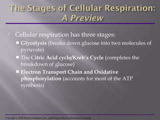 9 cellular respiration | PPT