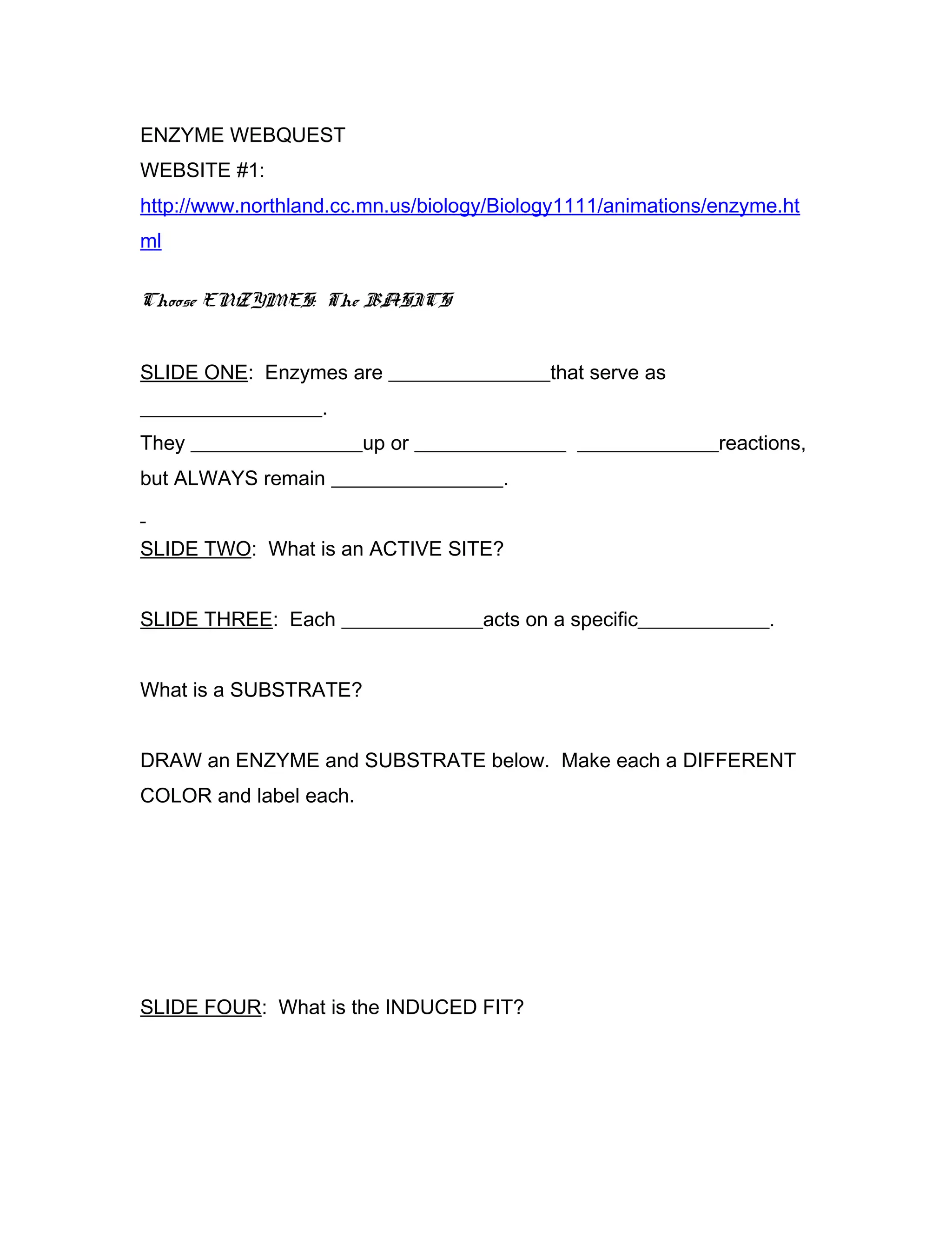 Ap biology enzyme webquest | DOC