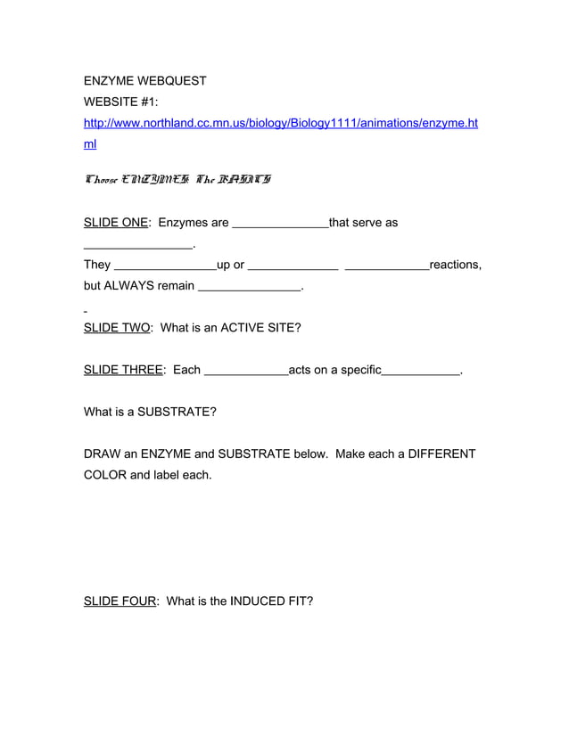 Ap biology enzyme webquest | PDF