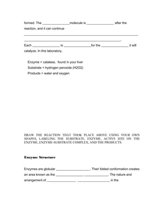 Ap biology enzyme webquest | DOC