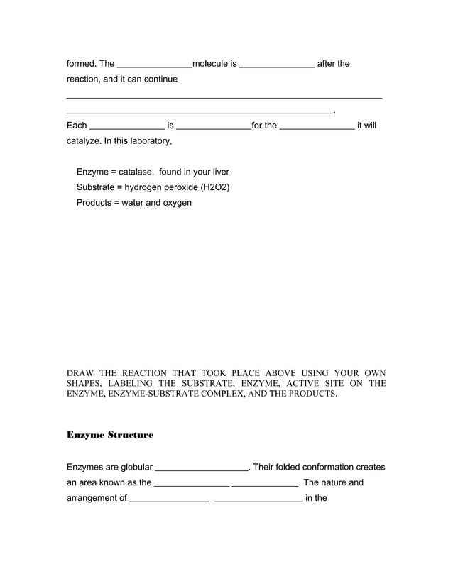 Ap biology enzyme webquest | PDF