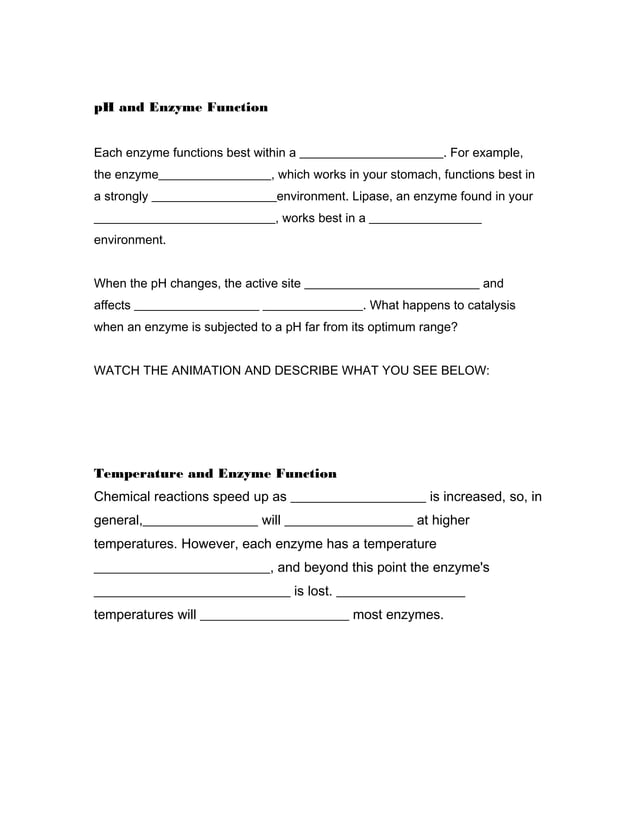 Ap biology enzyme webquest | PDF