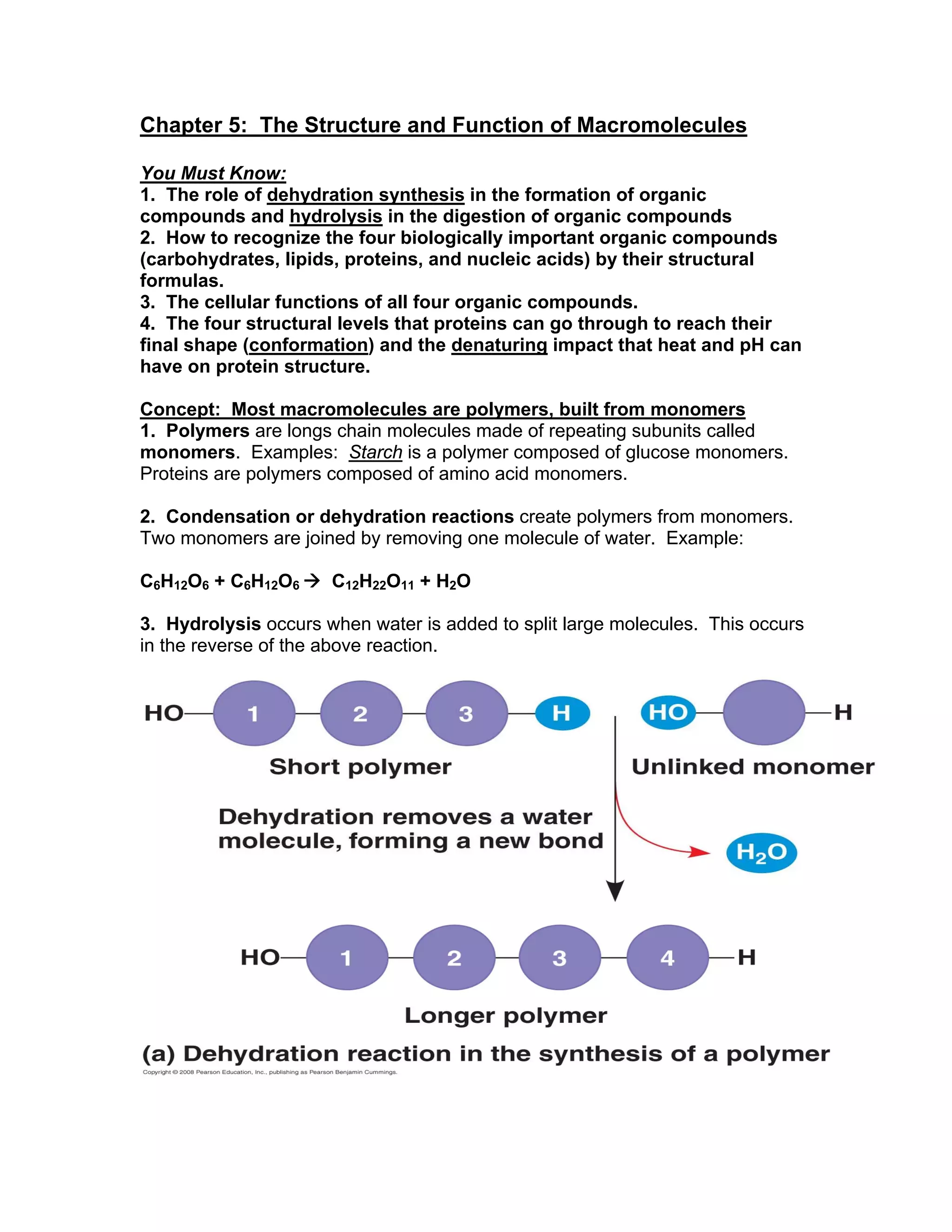 Ap biology review chemistry biochemistry | PDF | Chemistry | Science