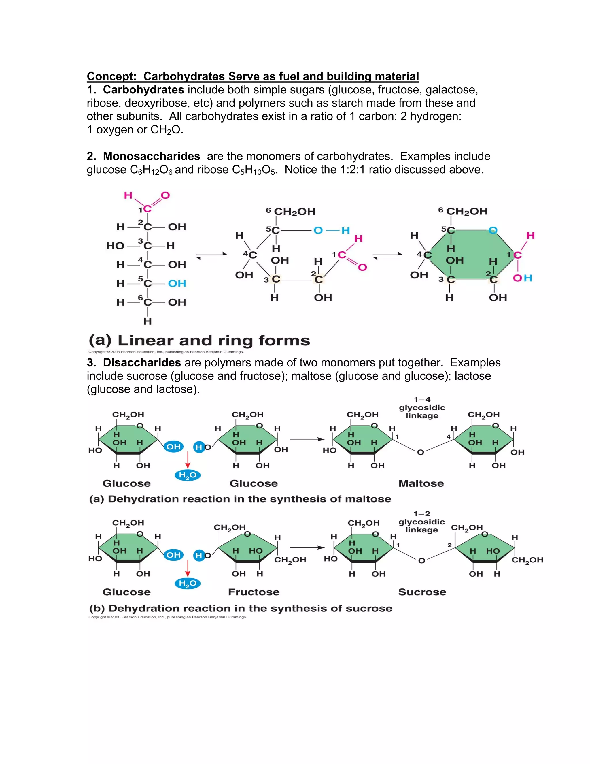 Ap biology review chemistry biochemistry | PDF | Chemistry | Science