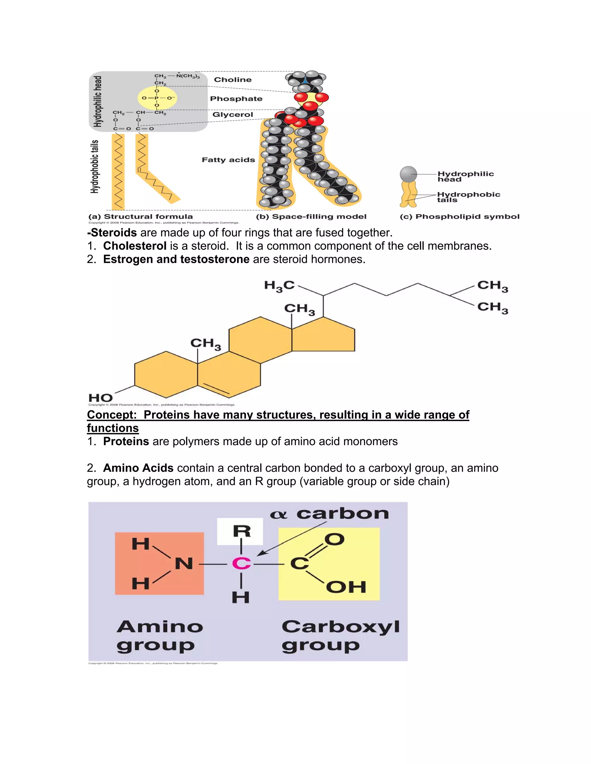 Ap biology review chemistry biochemistry | PDF | Chemistry | Science