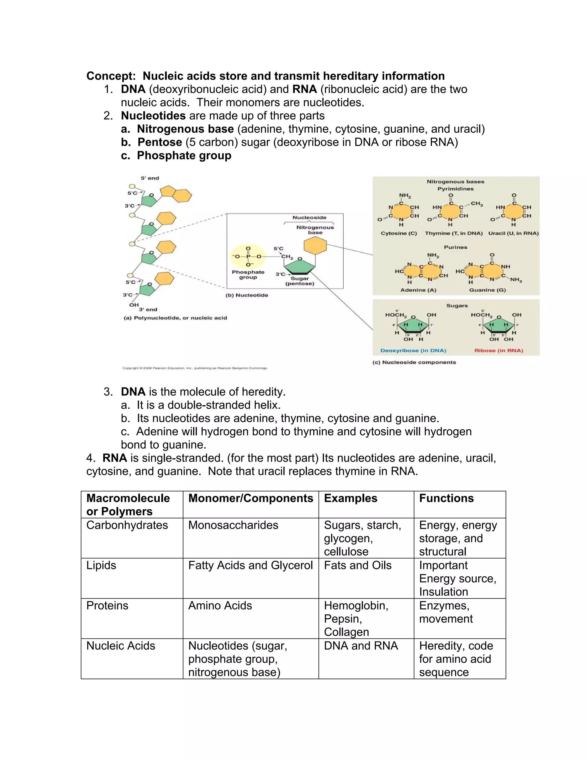 Ap biology review chemistry biochemistry | PDF | Chemistry | Science