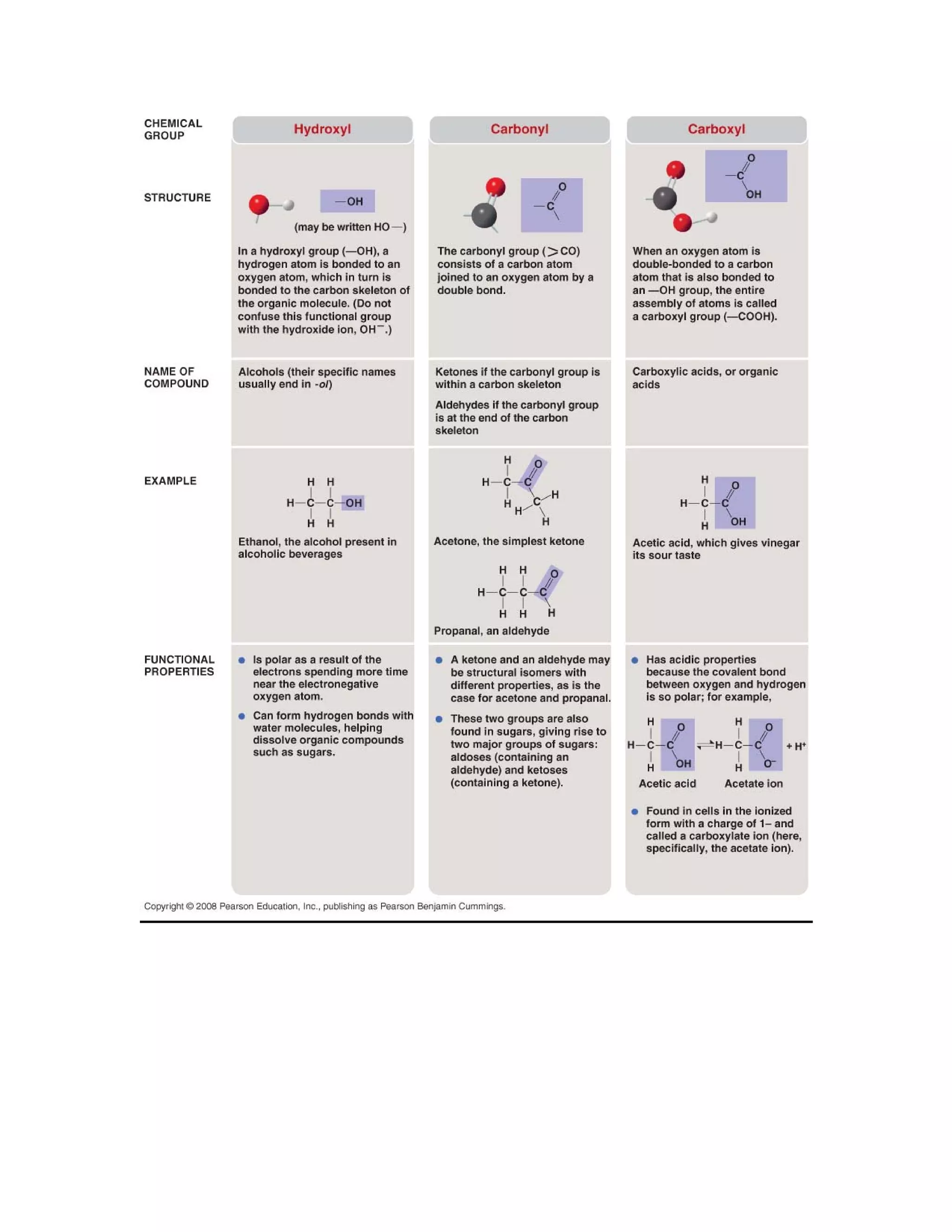 Ap biology review chemistry biochemistry | PDF | Chemistry | Science