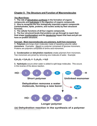 Ap biology review chemistry biochemistry | PDF | Chemistry | Science