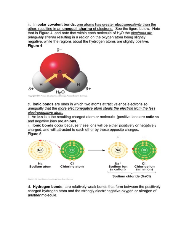 Ap biology review chemistry biochemistry | PDF | Chemistry | Science