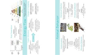 ap_biology_review_one_pagers -AP biology | PDF