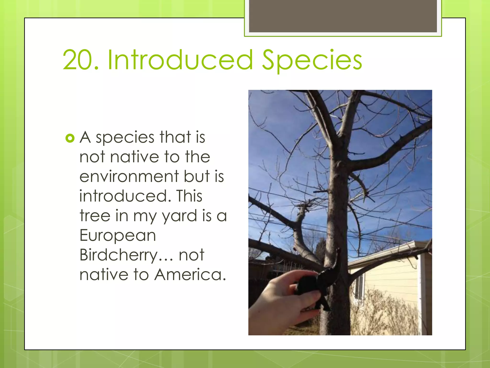 Ap Biology Scavenger Hunt power point | PPTX | Gardening | Home & Garden